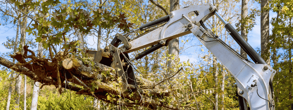 Land Maintenance - Durham Land Work